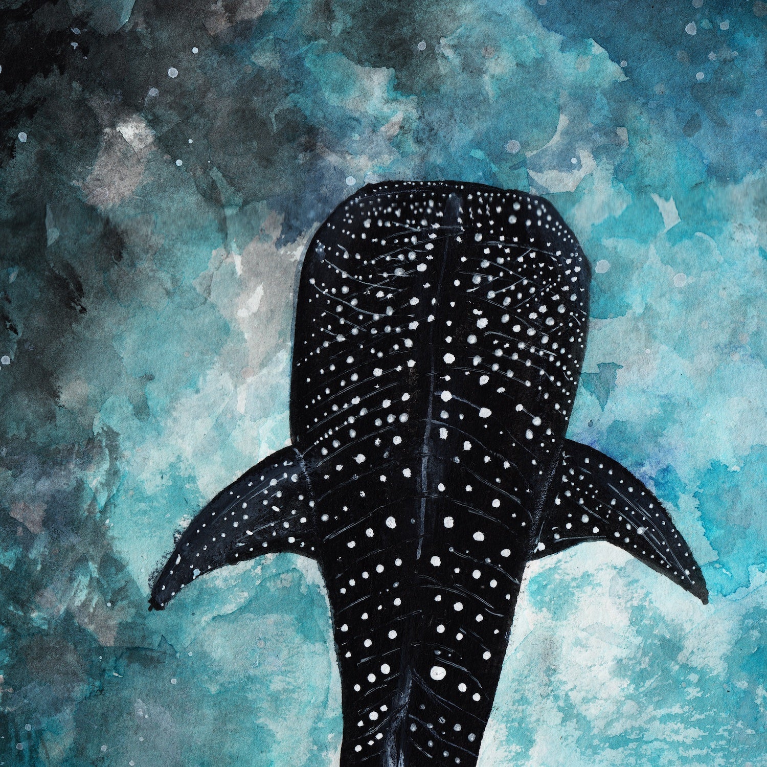 Whale Shark – Dora Koreny Paintings
